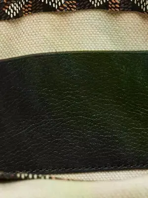 Goyard 2020 Plumet Goyardine Canvas Cross Body Bag