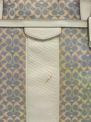 COACH VINTAGE Signature Monogram Canvas Tote Bag