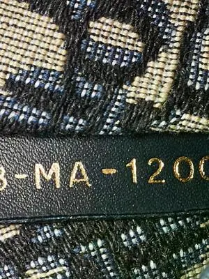 Dior Oblique Canvas Wicker Bucket Bag