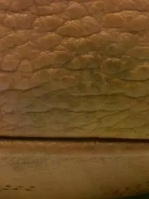 LOUIS VUITTON Selene Mahina Handbag