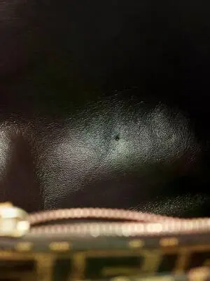 Fendi 2011 Linda Zucca Satchel Bag