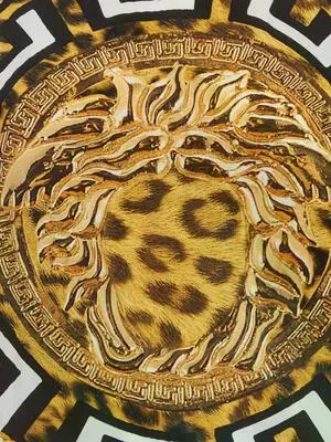 Versace Medusa Leopard-print Top
