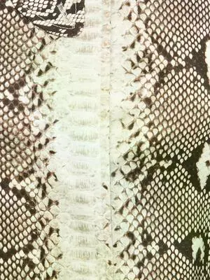 Chloé Snake-print Corduroy Coat