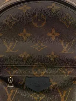 LOUIS VUITTON Palm Springs Monogram Backpack - Brown