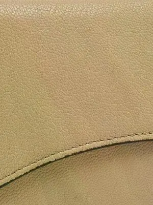 Dior 2020 Saddle Cosmos Wallet