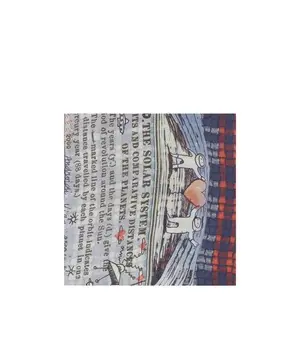 Faliero Sarti Printed Scarf