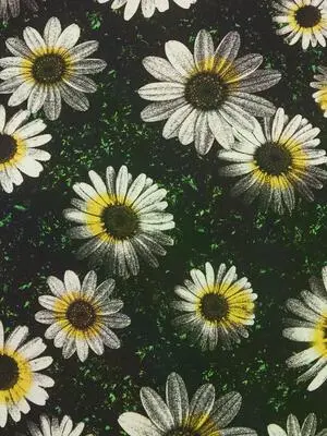 Moschino Daisy Print Short Sleeve T-shirt