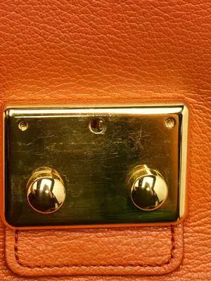 Miu Miu Madras Push-lock Handbag
