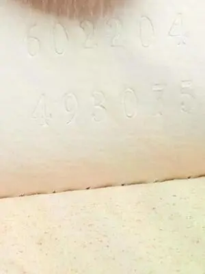 Gucci 1955 Medium Shoulder Bag - Neutrals
