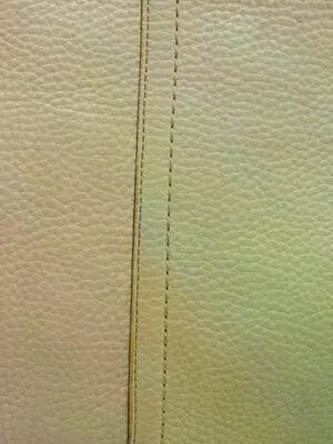 COACH Soho Shoulder Bag