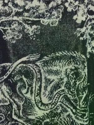 Dior Toile De Jouy Poncho