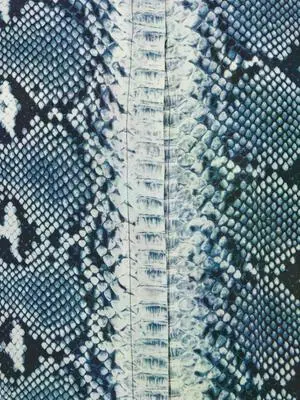 JOSEPH Lydie Python-print Silk Shirt