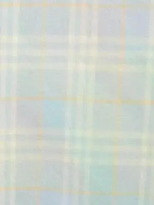 Burberry Checked-pattern Fringed-trim Scarf