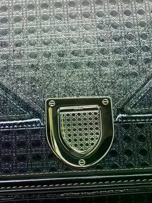 Dior Medium Diorama Microcannage Shoulder Bag