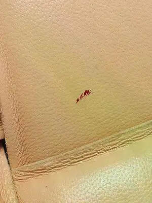Bottega Veneta Cassette Padded Shoulder Bag - Neutrals