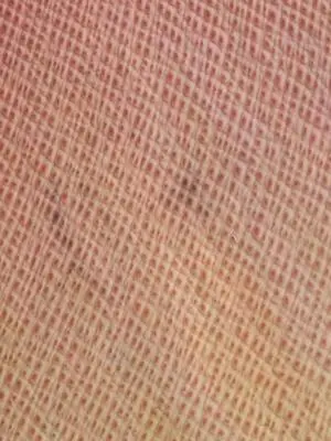 LOUIS VUITTON 2018 Zippy Damier Ebene Wallet - Brown