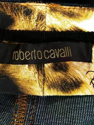 Roberto Cavalli Leopard-print Trim Trousers