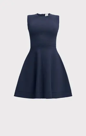 Herve Leger Anna Dress