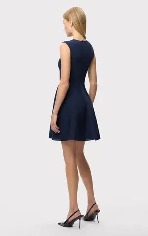 Herve Leger Anna Dress