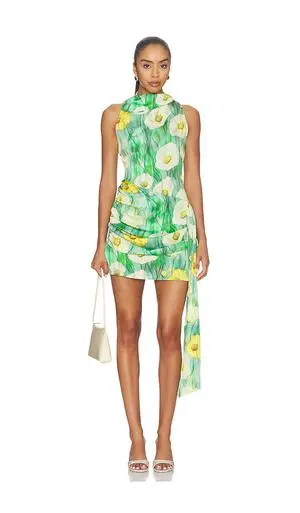 CURAAE BY ELLIATT Lilia Highneck Mini Dress
