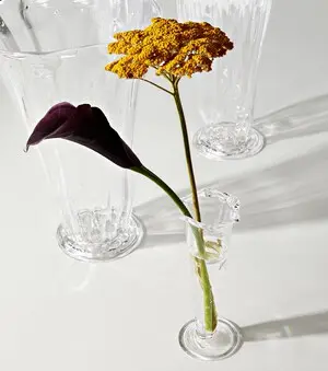 ALEXANDER KIRKEBY Small Crystal Vase