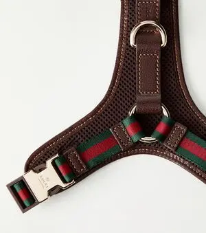 Gucci Gg Canvas Dog Harness