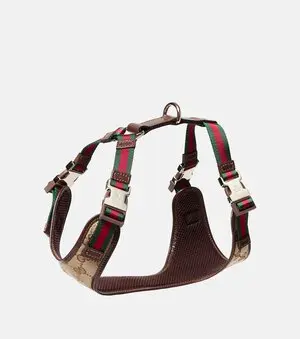 Gucci Trimmed Belts For Women
