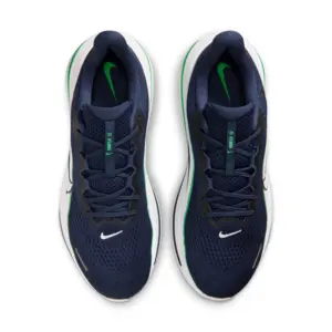 Nike Winflo Road Running Shoes