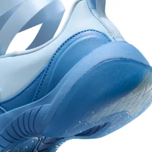 JORDAN Pointe Shoes