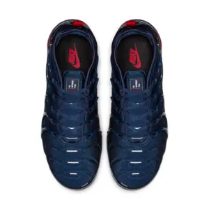 Nike Air Vapormax Plus Shoes