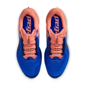 Nike Pegasus Premium Road Running Shoes