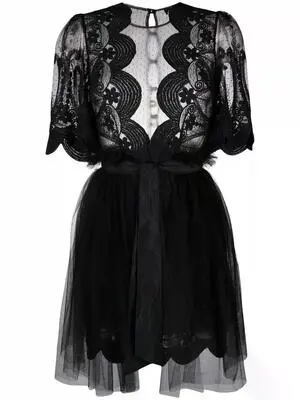 Elisabetta Franchi Lace-panelled Tulle Mini Dress