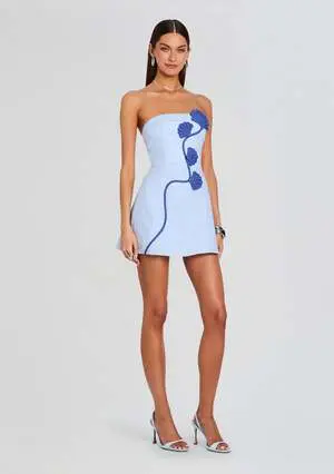 Azulu Dante Strapless Mini Dress