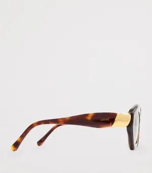 Loewe Acetate Coil Cat Eye Sunglasses