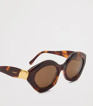 Loewe Acetate Coil Cat Eye Sunglasses