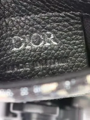 Dior Saddle Vertical Crossbody Bag
