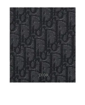 Dior A5 Pouch