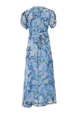 Rixo Novara Floral Puff Sleeve Button-front Maxi Dress - Blue