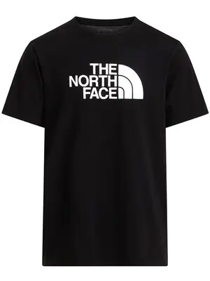 The North Face Evolution Half Dome Regular Tee - Black