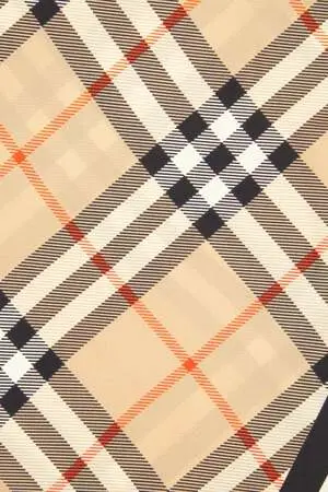 Burberry Accessories Scarves & Shawls - Multicolor