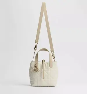 Dior Small Toujours Vertical Tote Bag