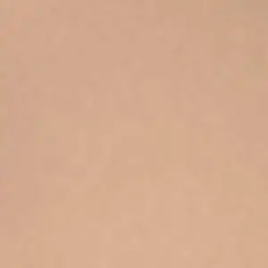 CHANTECAILLE Le Camouflage Stylo