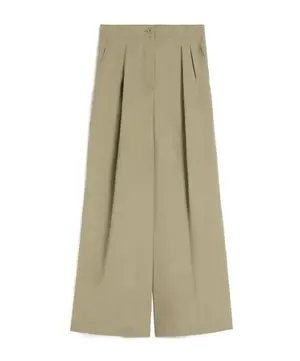 Max Mara Benda Pleated Wide-leg Pants - No