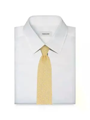 FERRAGAMO Charlie Print Silk Neck Tie