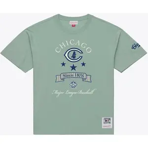Mitchell & Ness Chicago Cubs Yacht Rock T-shirt - Green