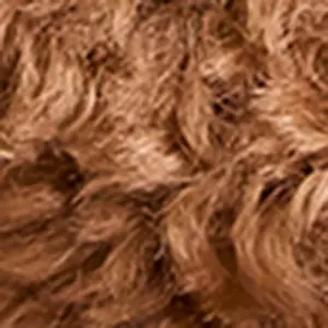 Harrods Curly Henry Bear