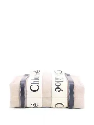 Chloé Woody Canvas With Leather Small Tote Bag - Blue