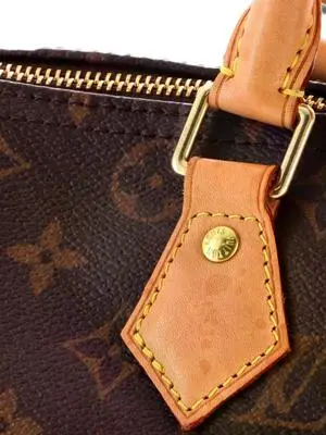 LOUIS VUITTON Speedy Handbag Monogram Canvas 30 Satchel