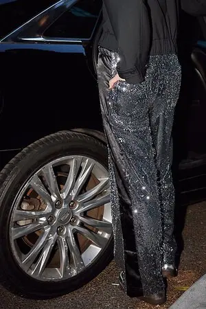 Free People Low Lights Sequin Pants