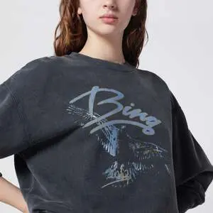 ANINE BING Spencer Eagle Washed Sweatshirt